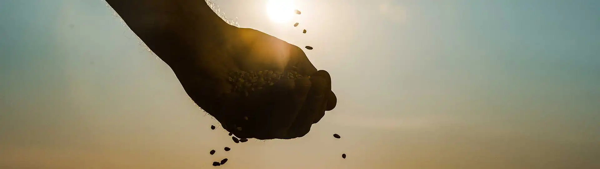 Kuraray Poval ™ | Polyvinyl alcohol, PVA, PVOH